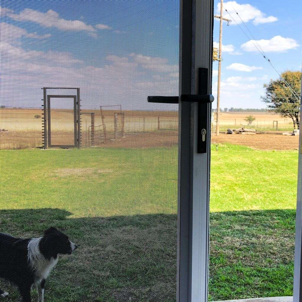 Border Transkei | Corner Star South Africa